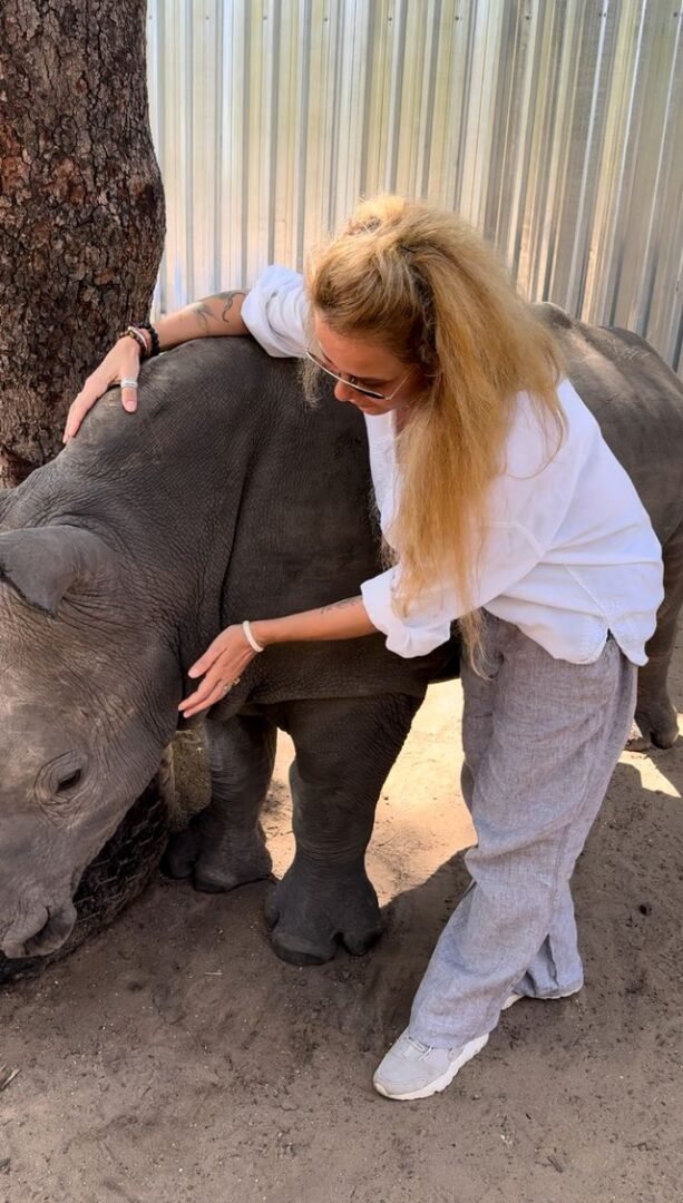 Rhinoceros Conservation and Rescue » Wild at Life